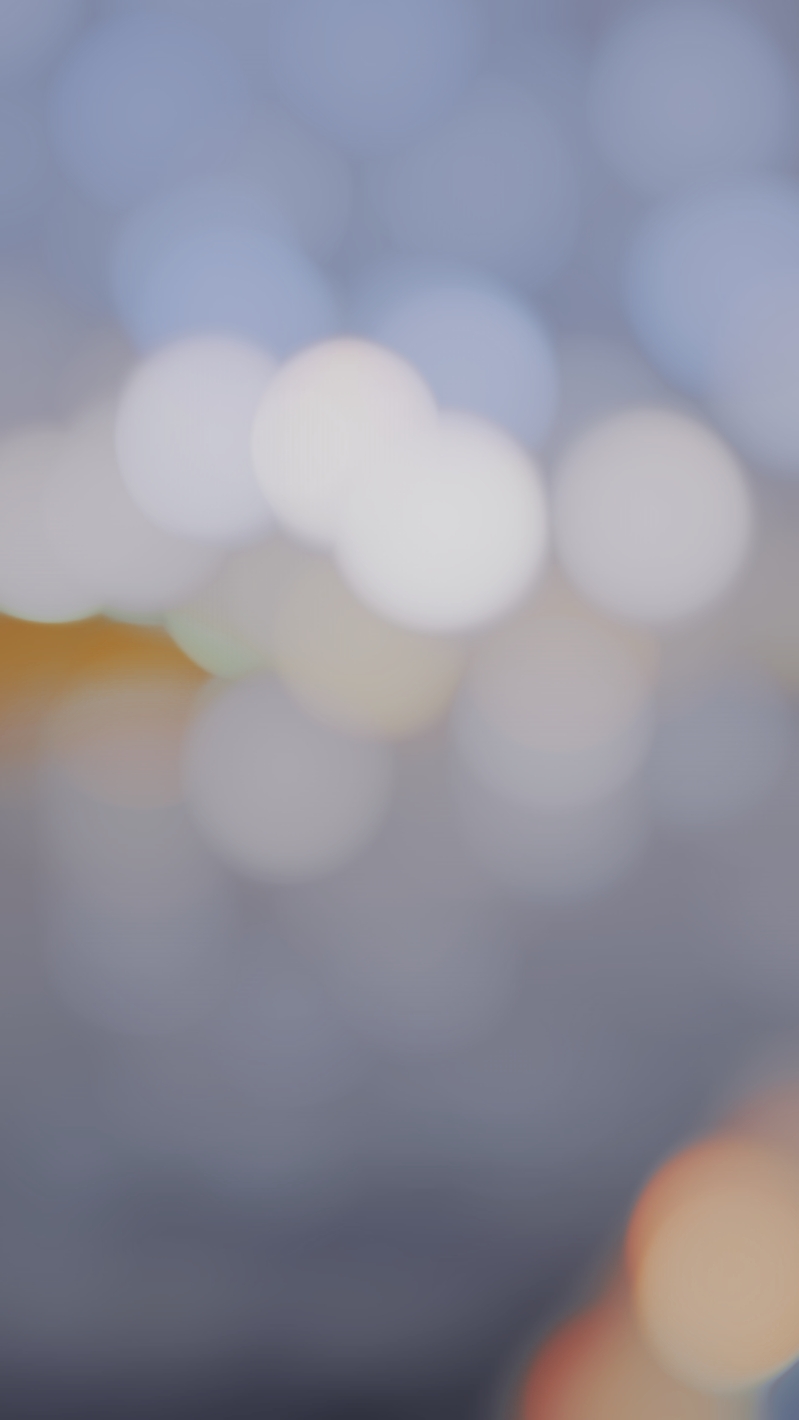 Traditional One Video Template - Pippit