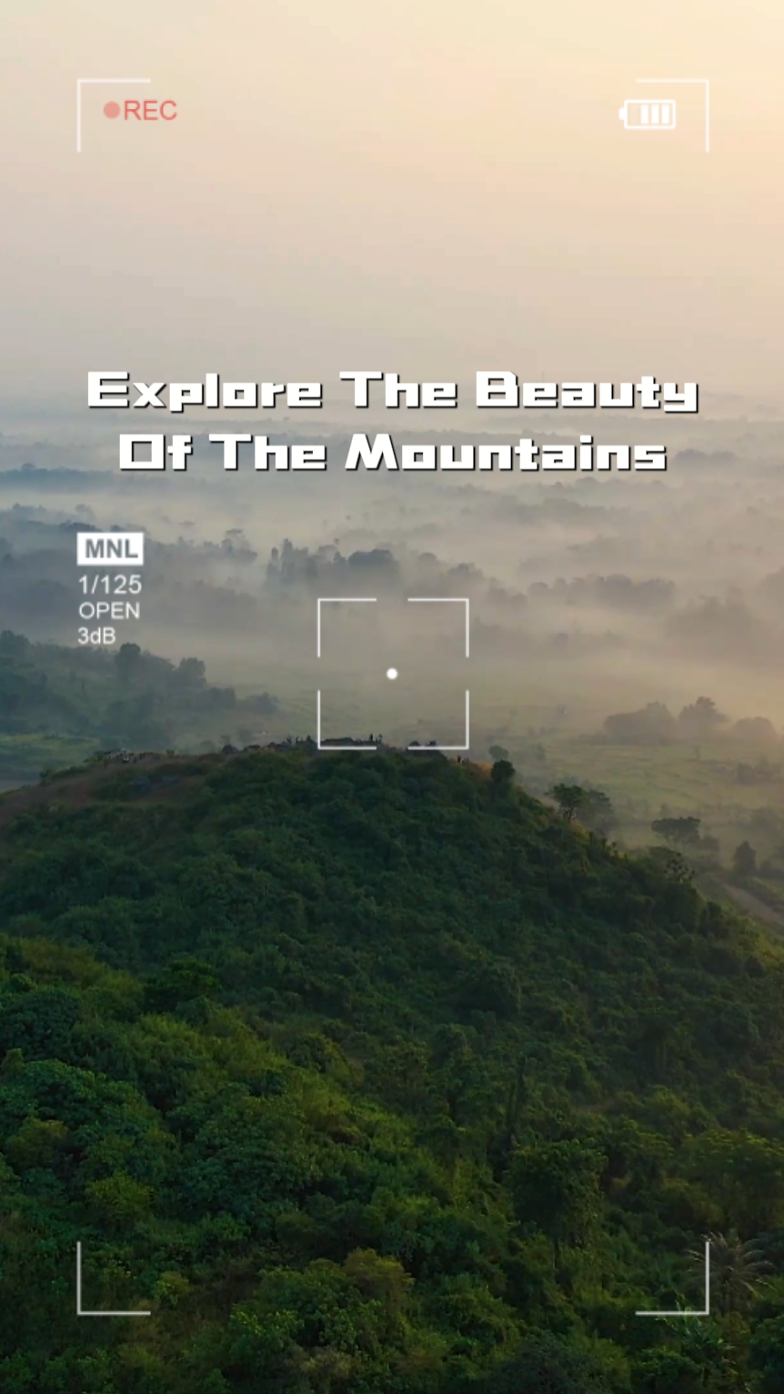 Counting Transition - Pippit