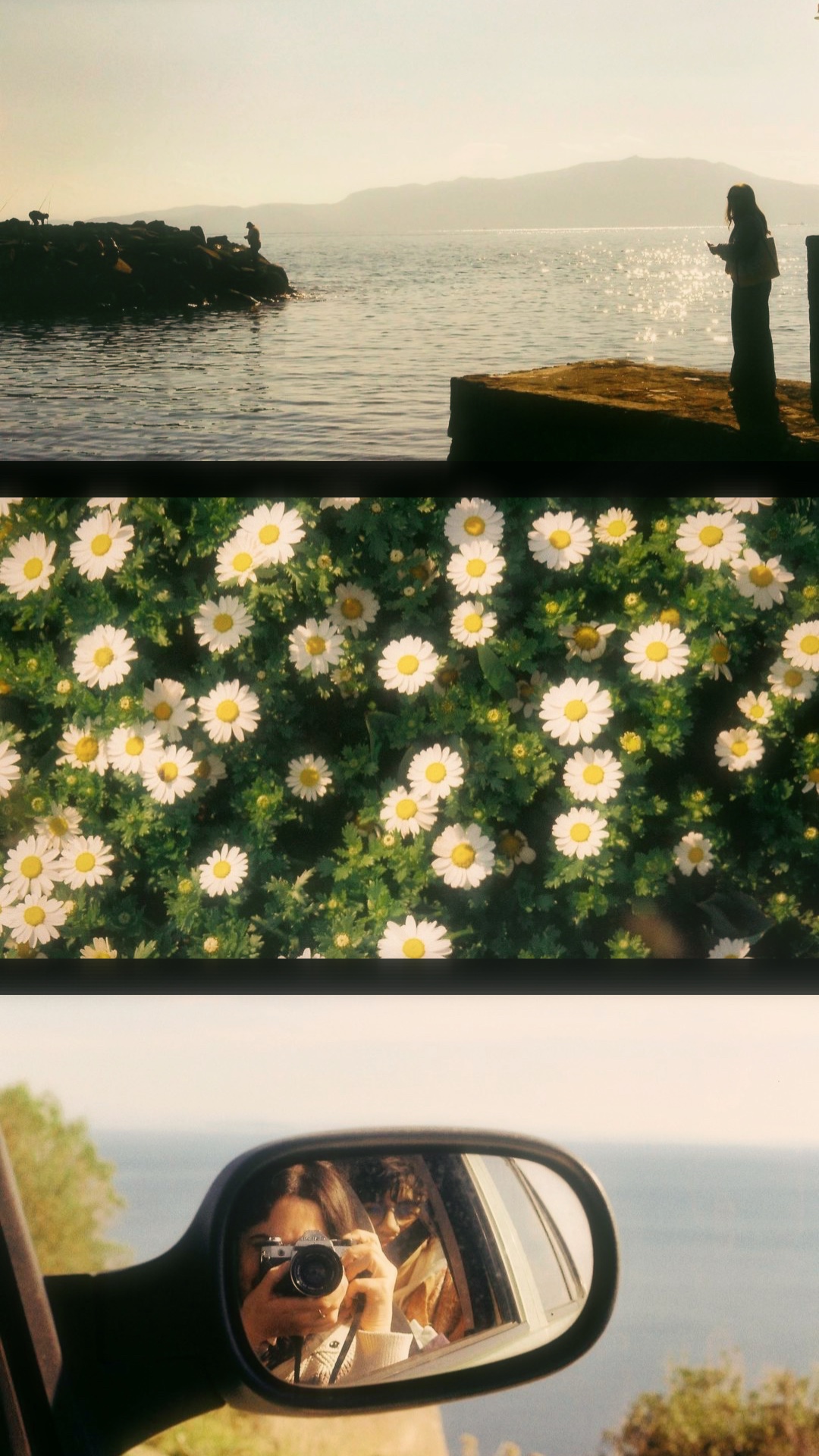 How To Make Memory Effect - Pippit