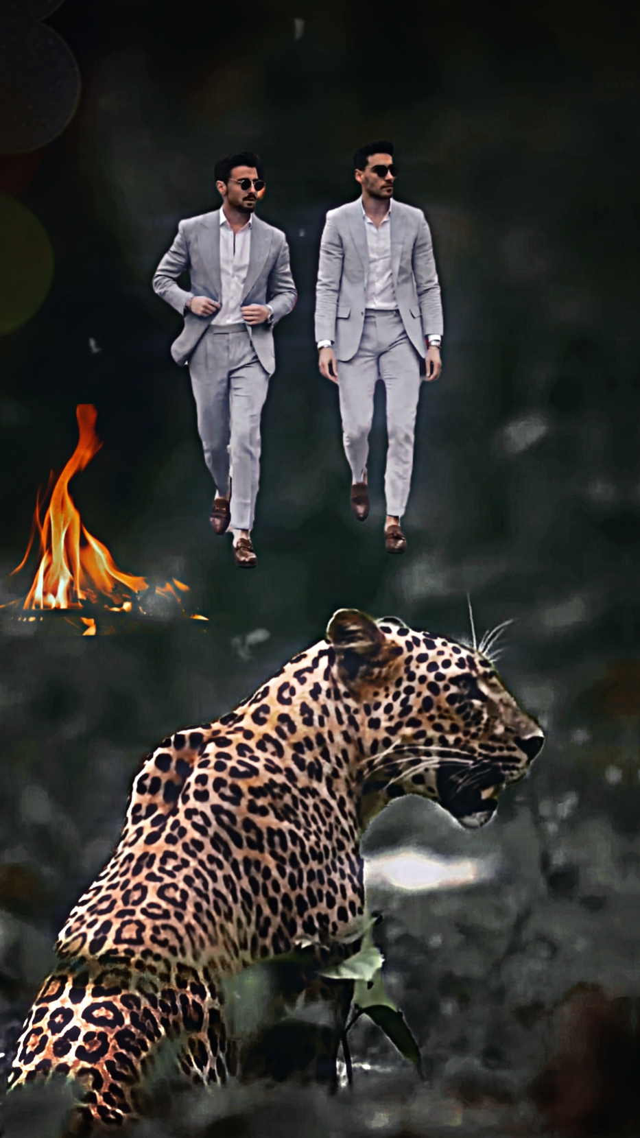 Walking Lion Template Effect Video - Pippit