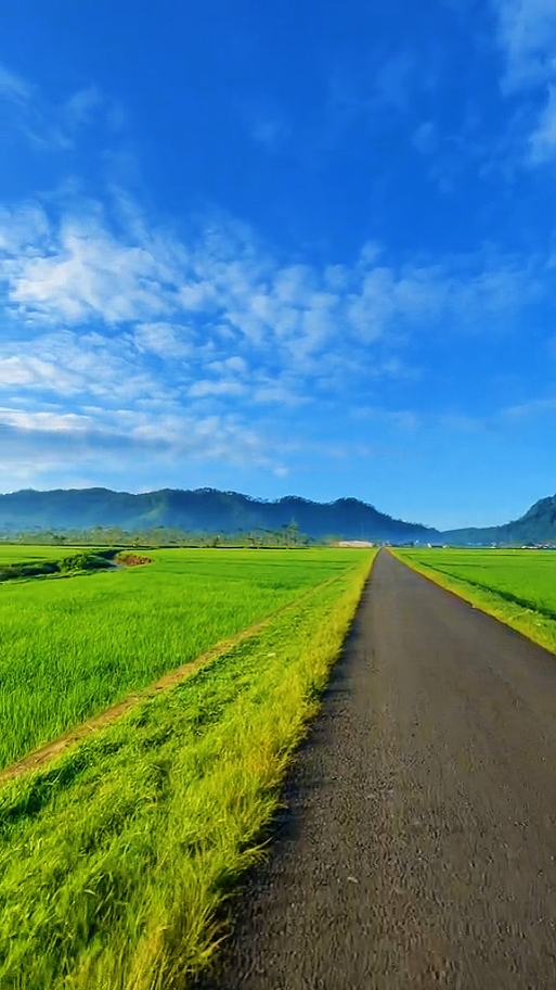 Slow Motion Templates Two - Pippit