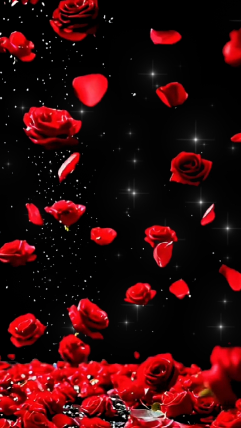 Only Red Rose Template AI - Pippit