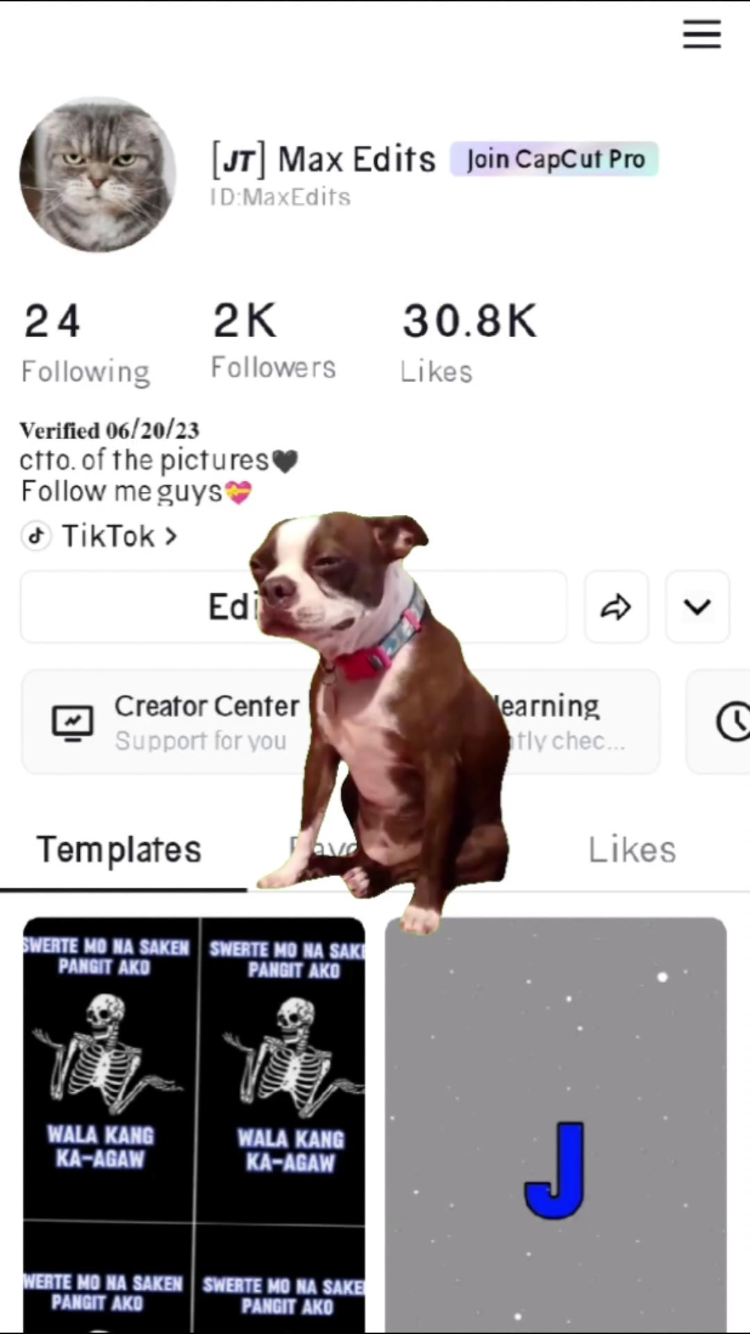Meme Perro Triste - Pippit