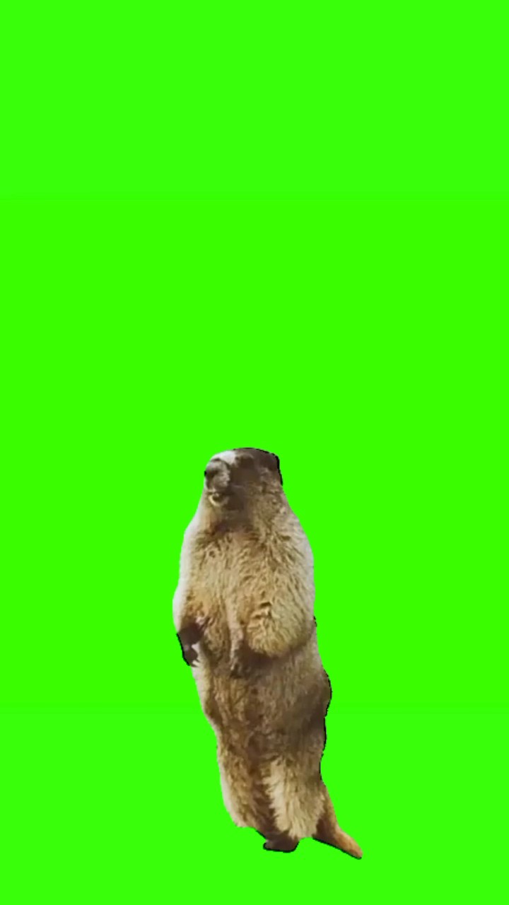 Meme Gritando - Pippit