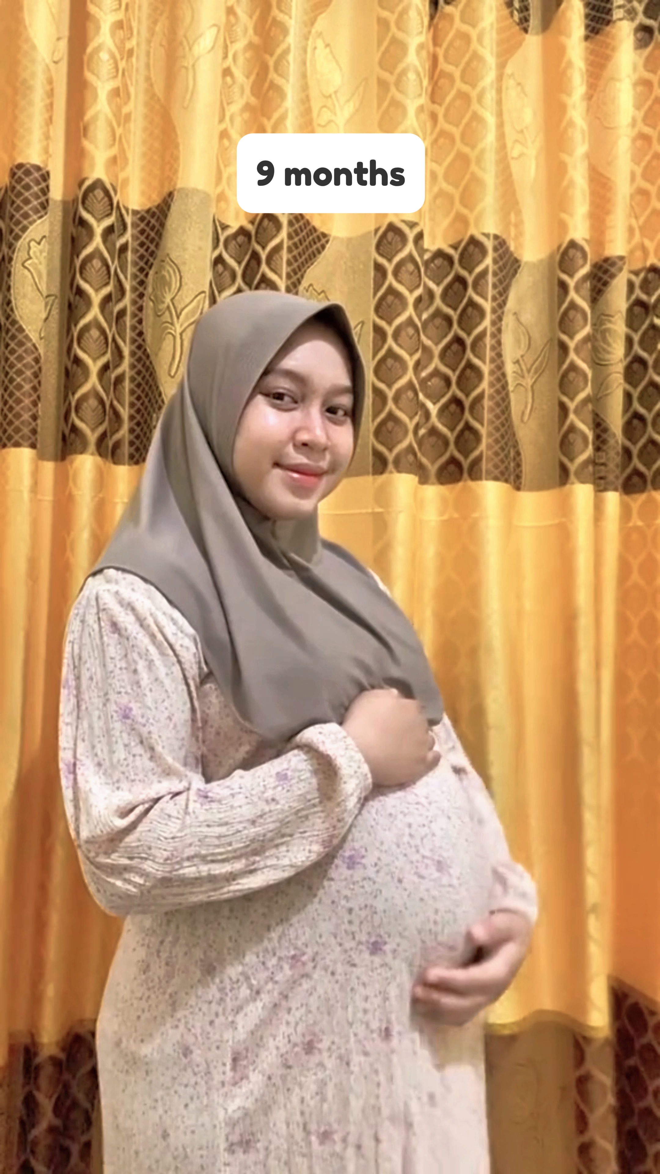 Pregnant Effect SI - Pippit