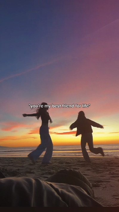 Best Friends Template Capcut Pippit