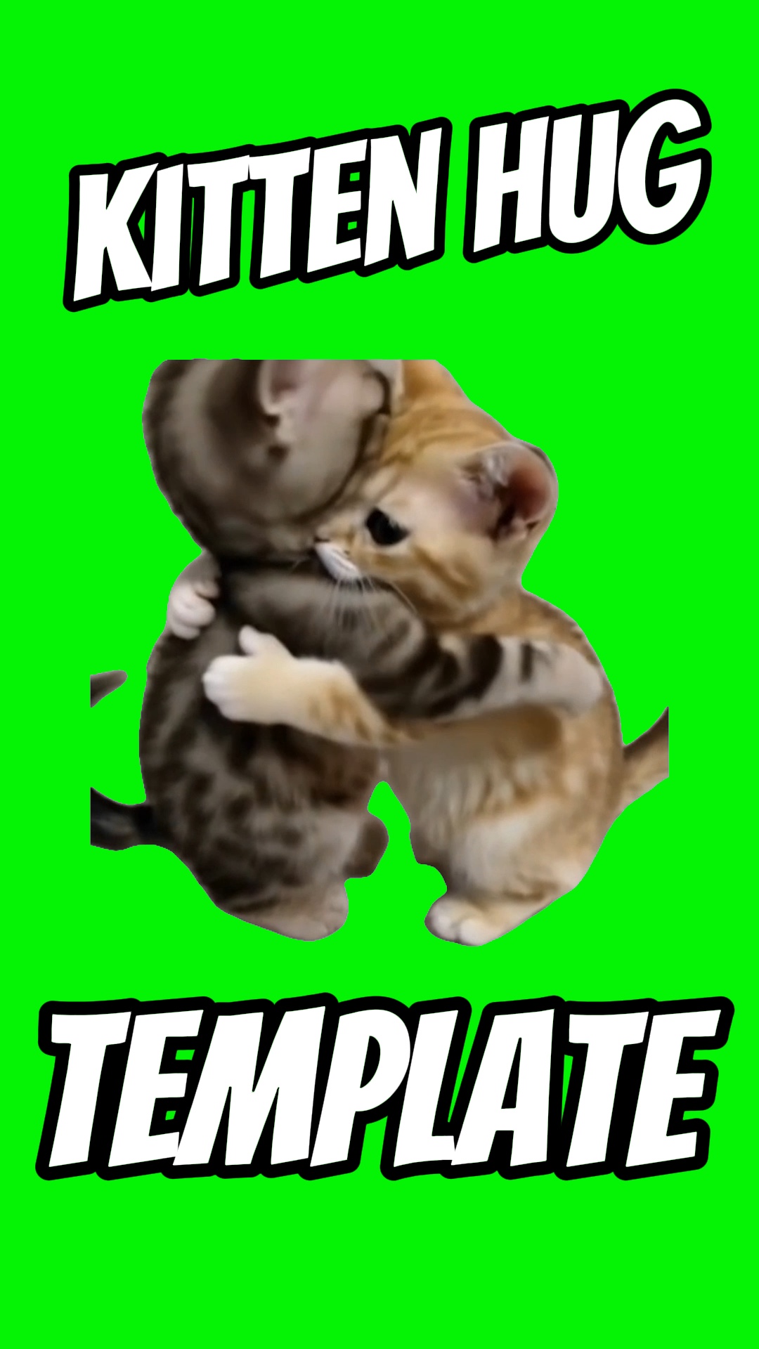 Gato Meme Maullando Llorando - Pippit