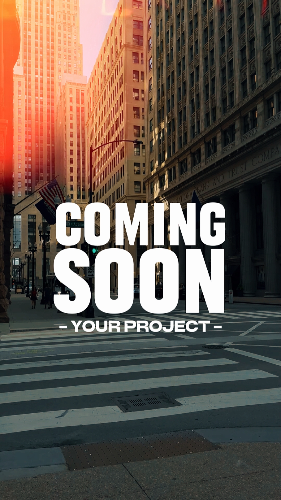 Anticipate Introduction - Pippit