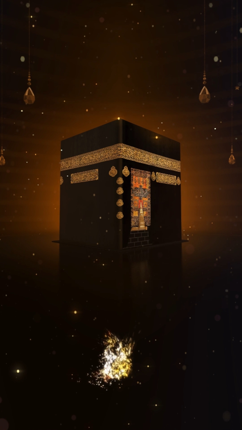 Vertical Pictures Template Intro - Pippit