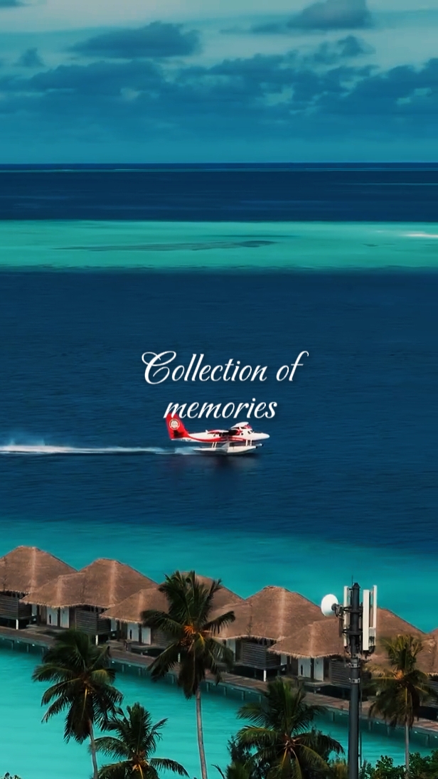 Wrap Up Video Template 3 Minutes - Pippit