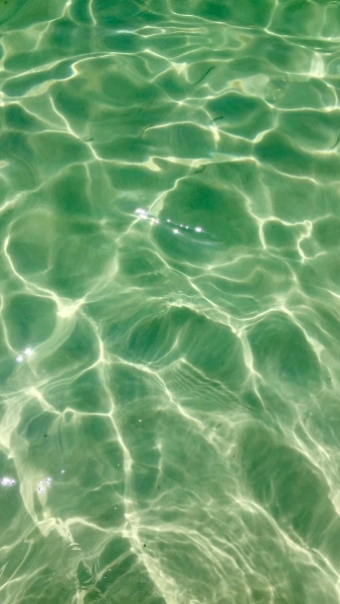 free green pfps - Pippit