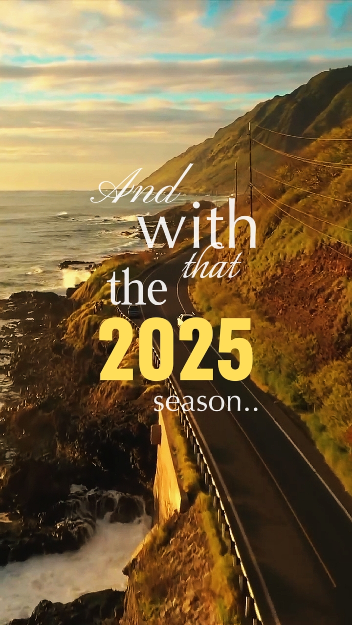 47 Templates of 2025 Recap - Pippit