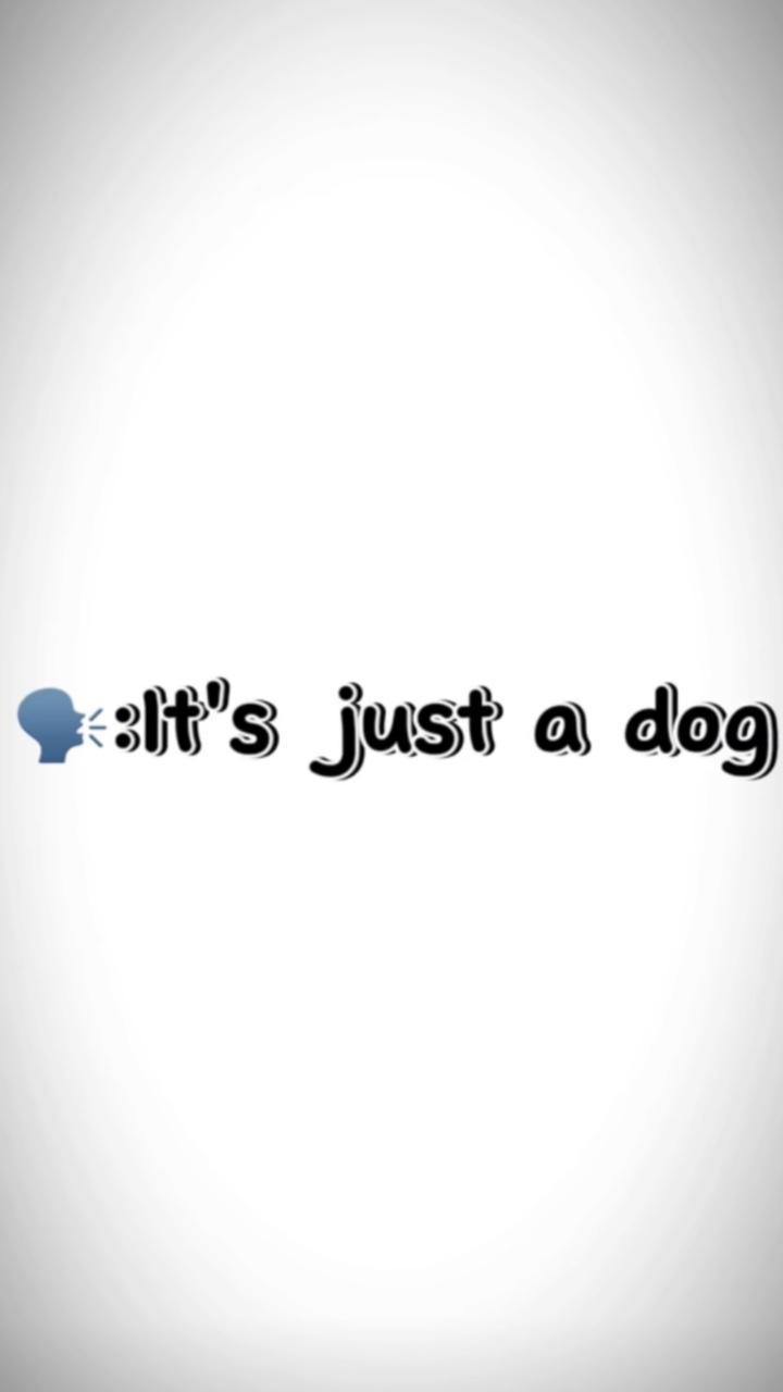 Meme Perro Triste - Pippit