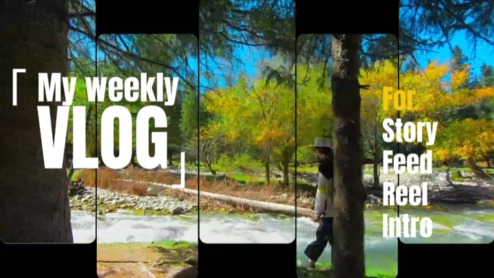 Screen Horizontal - Pippit