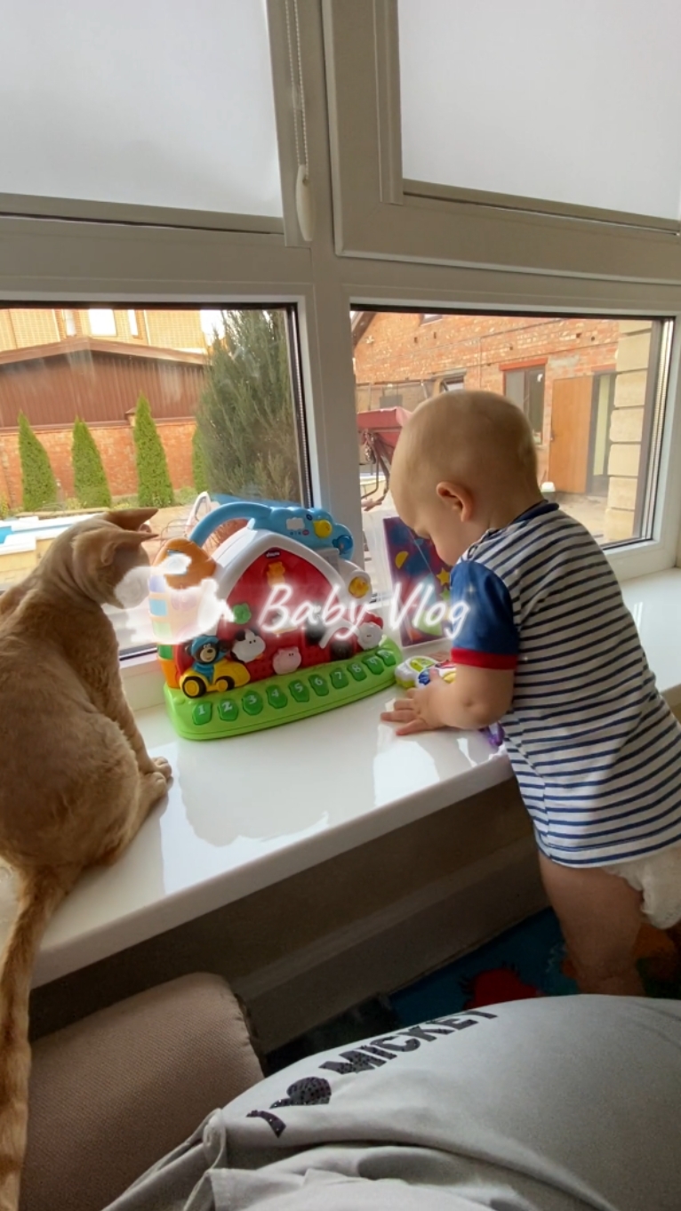 Kids Templates Video Cute Baby - Pippit