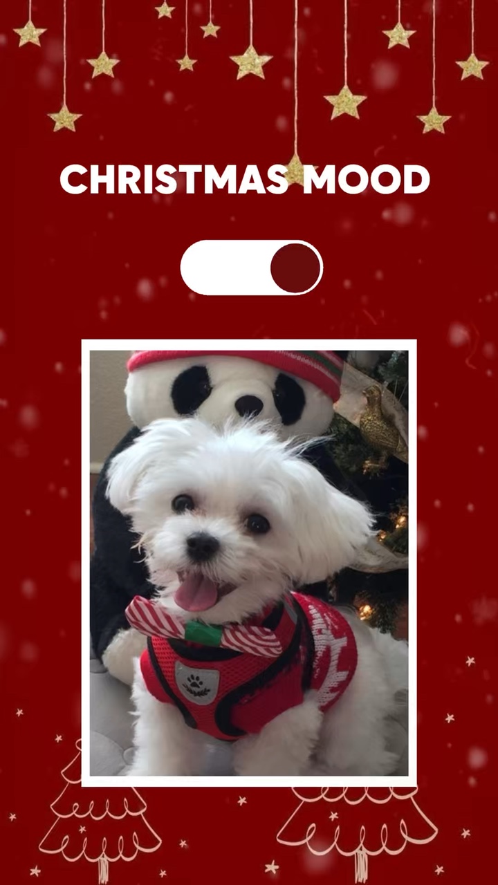 Christmas Photos Template Dogs - Pippit