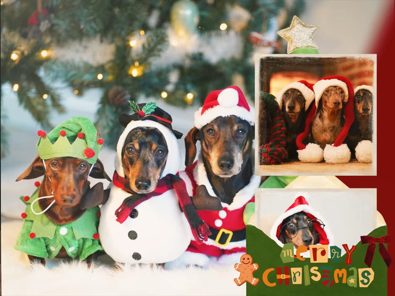 Dog Templates 2 Photos Christmas - Pippit