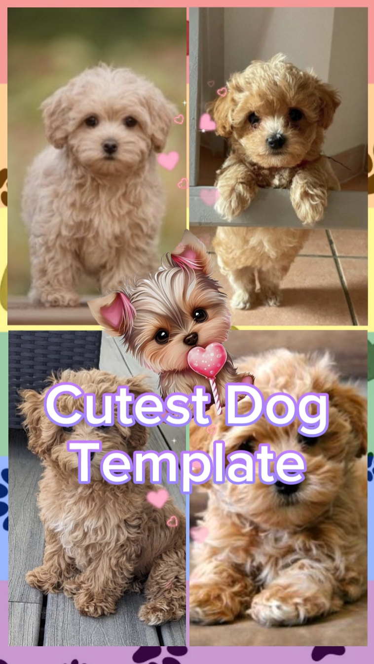 I Dogs Template - Pippit