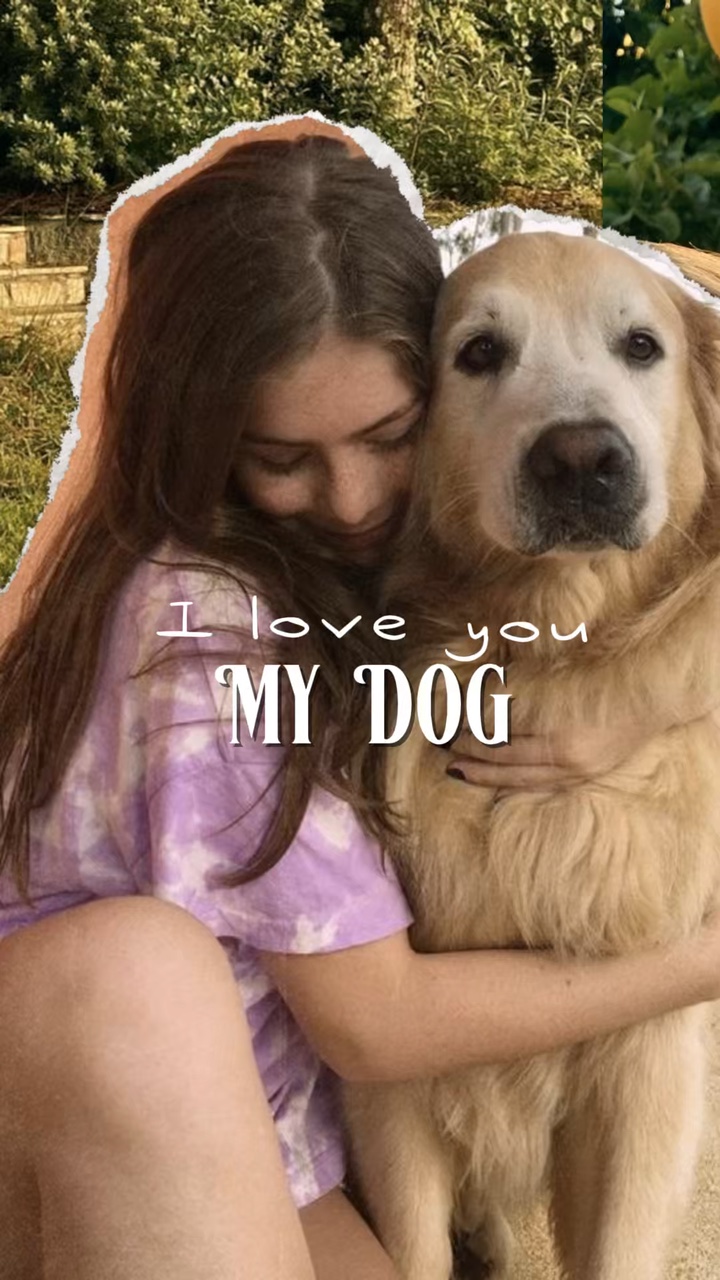 Funny Dog Templates for My Dogs - Pippit