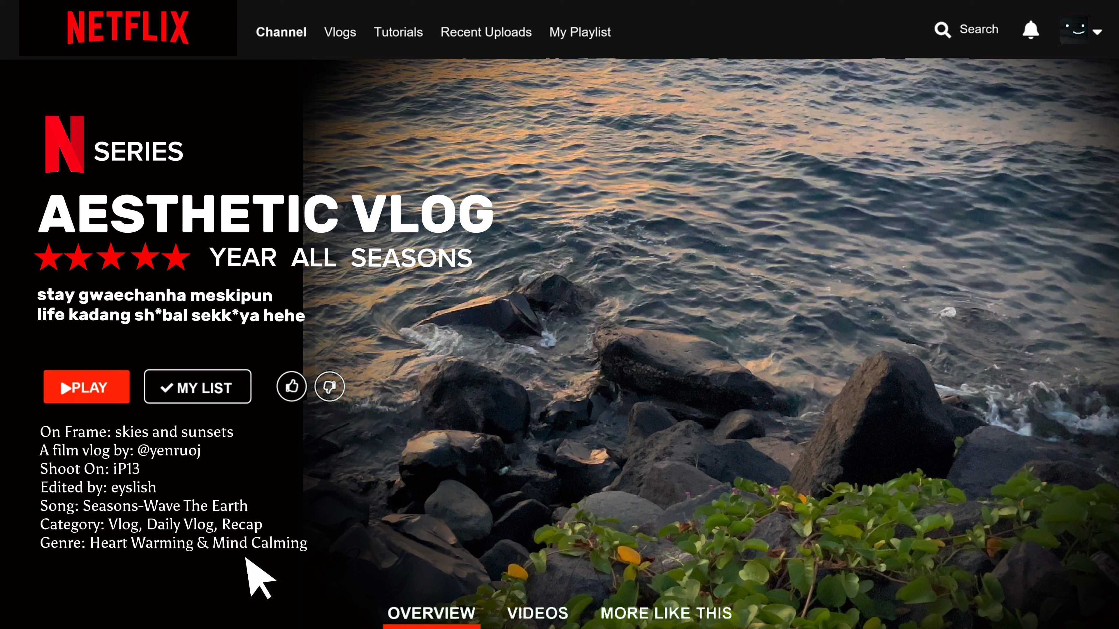 Intro Group Presentation Netflix - Pippit