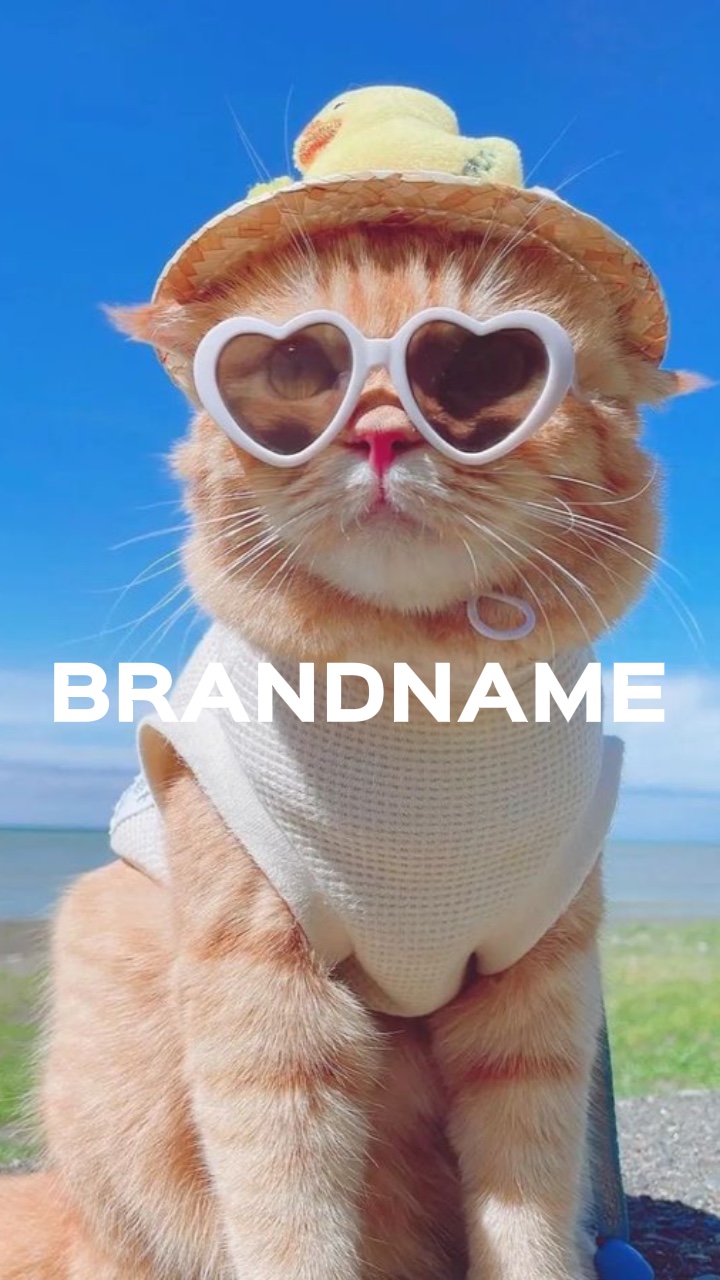 Great song ️ - Pippit