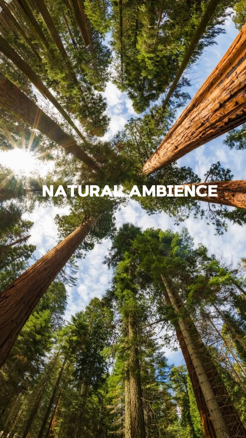 Nice Time Templates - Pippit