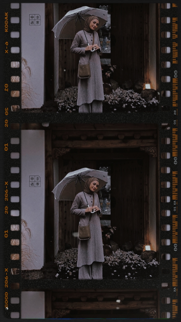 Film Strip Roll - Pippit