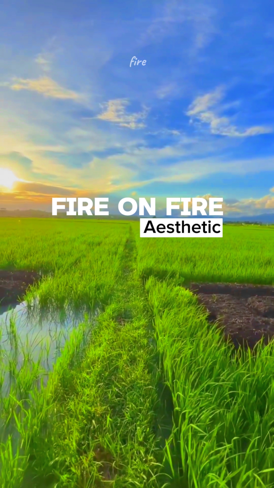 Fire On Fire CapCut Template - Pippit