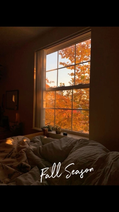 dti fall autumn theme - Pippit