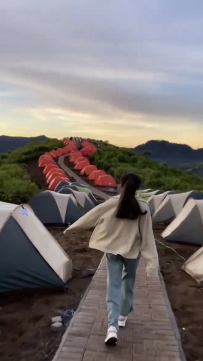 Picture and Video Templates - Pippit