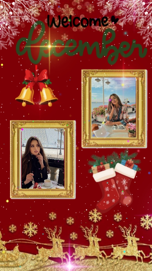 Pro Template 2025 6 December - Pippit