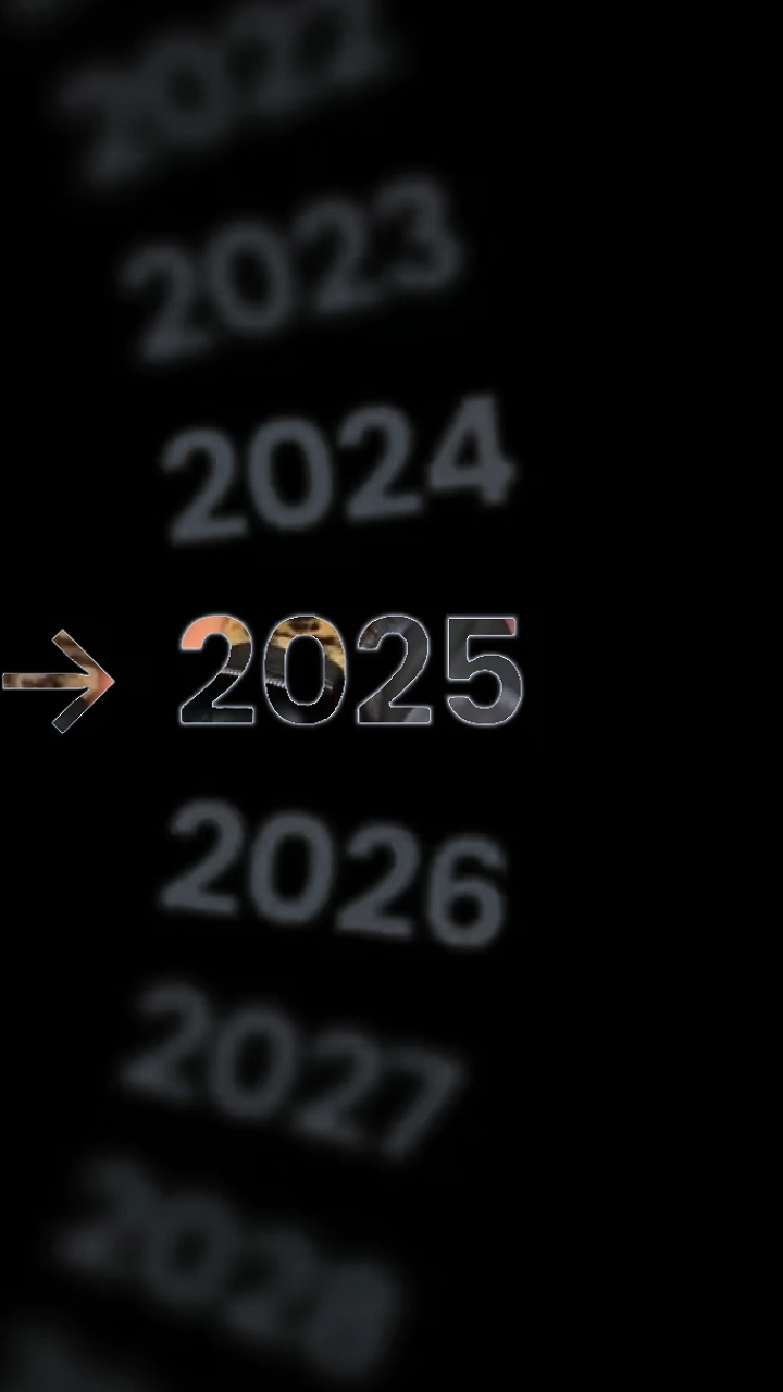 Year 2025 Recap Long - Pippit