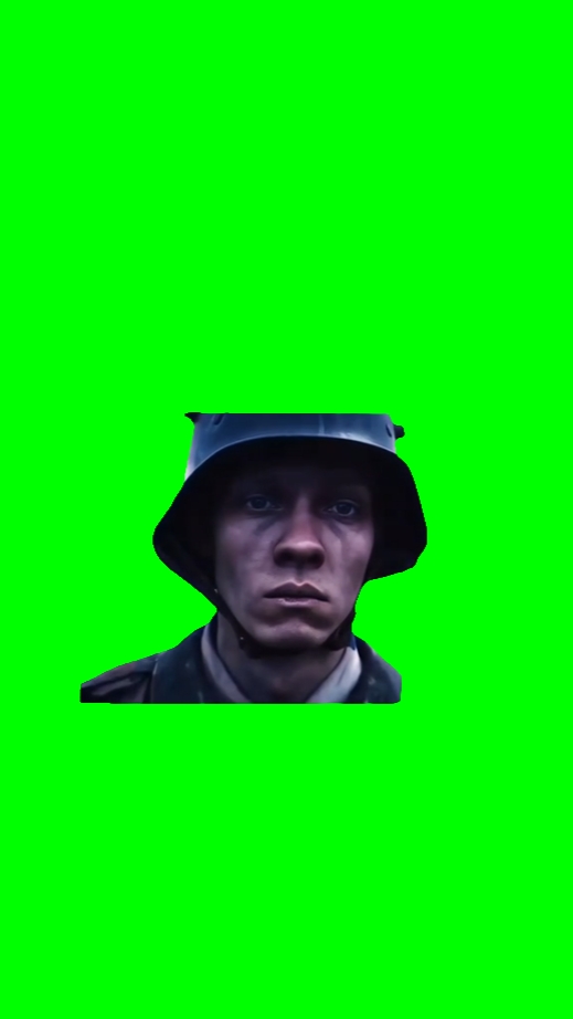 before and after meme - Pippit