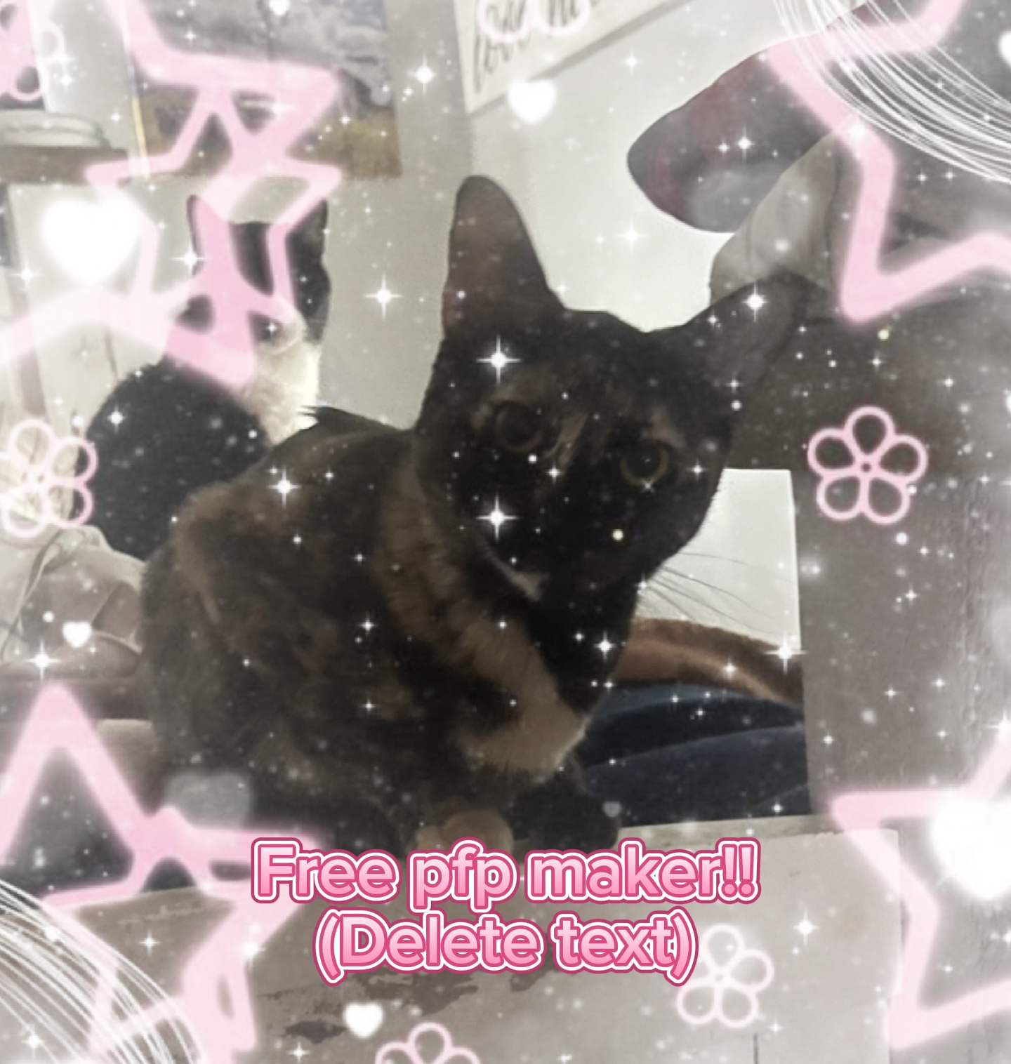 free alt pfp - Pippit