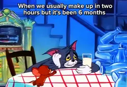 Milk Cat Meme – Discover Funniest Cat Moments Online