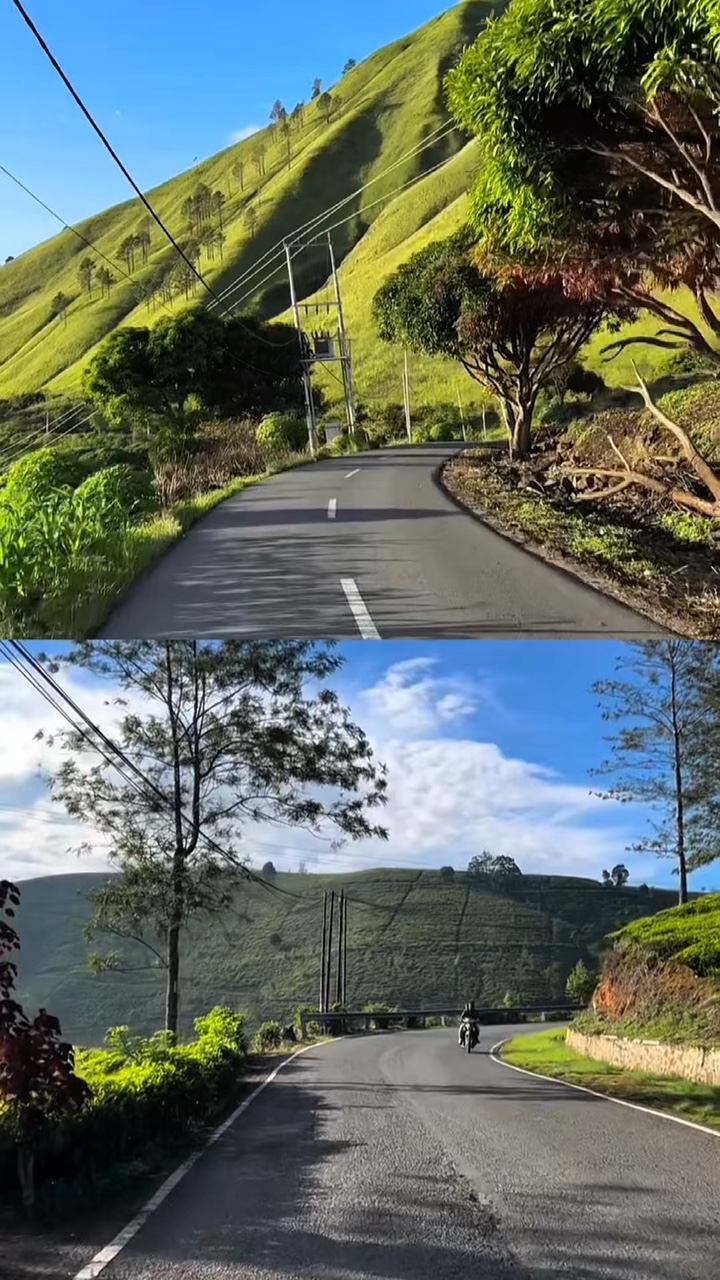 Split Screen Side By Side Templates - Pippit