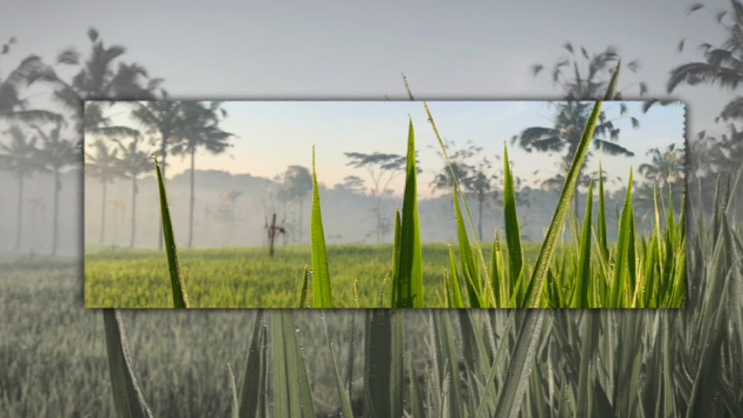 Cinematic Horizontal New - Pippit