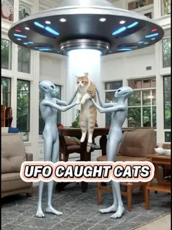 Cat Alien: Discover Unique Facts About Alien Cats