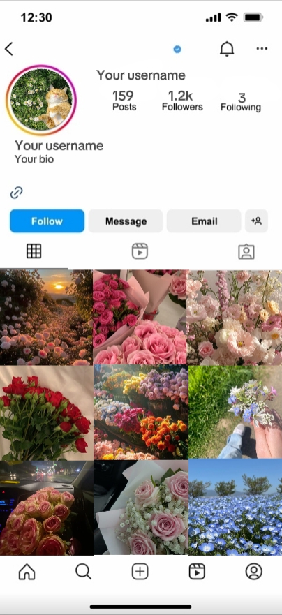 Instagram Profile Editing - Pippit