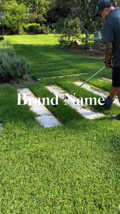 Farming Effect Training - Pippit