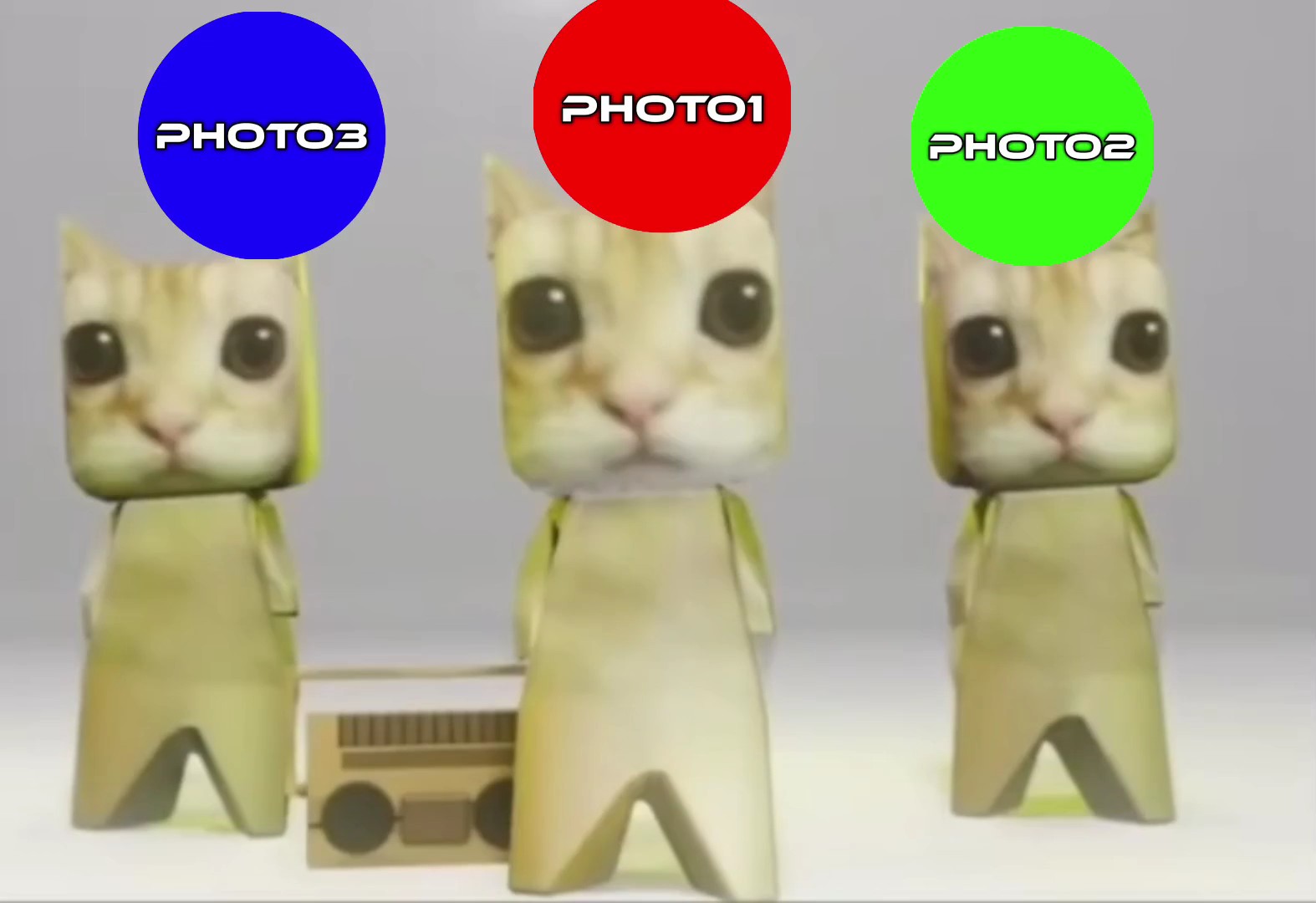 cat dance gif - Pippit