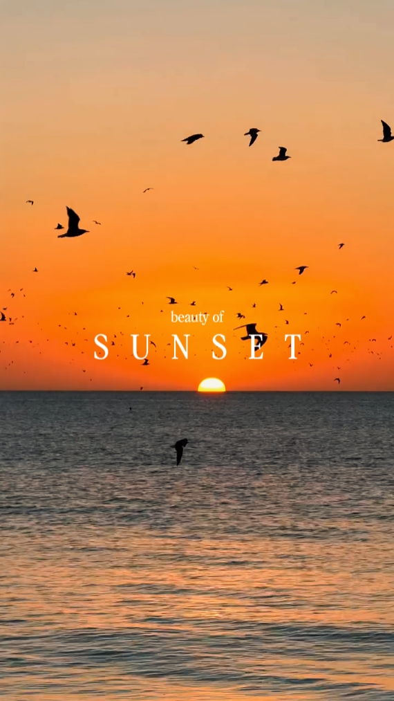 Sunset Time Lapse Templates - Pippit
