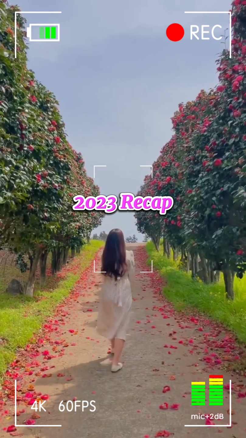 2023 Recap 87 - CapCut