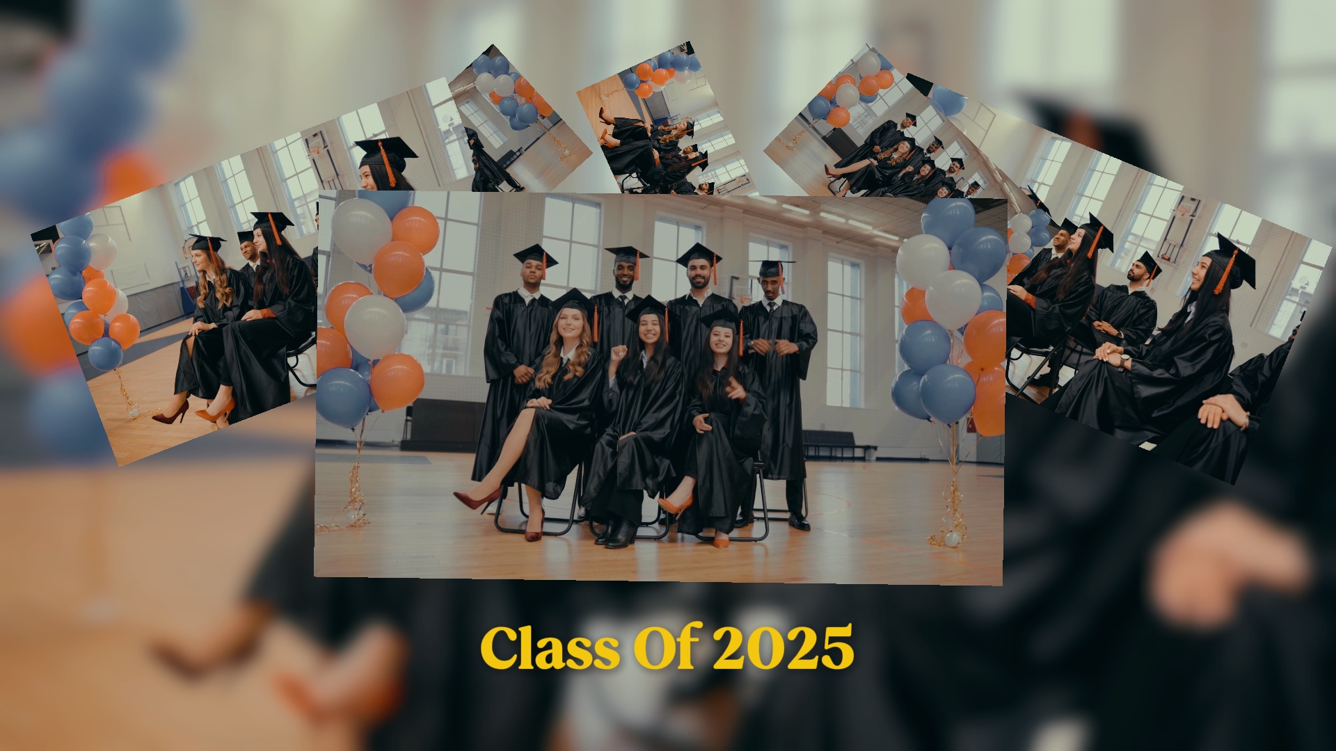 Horizontal Scan Line - Pippit