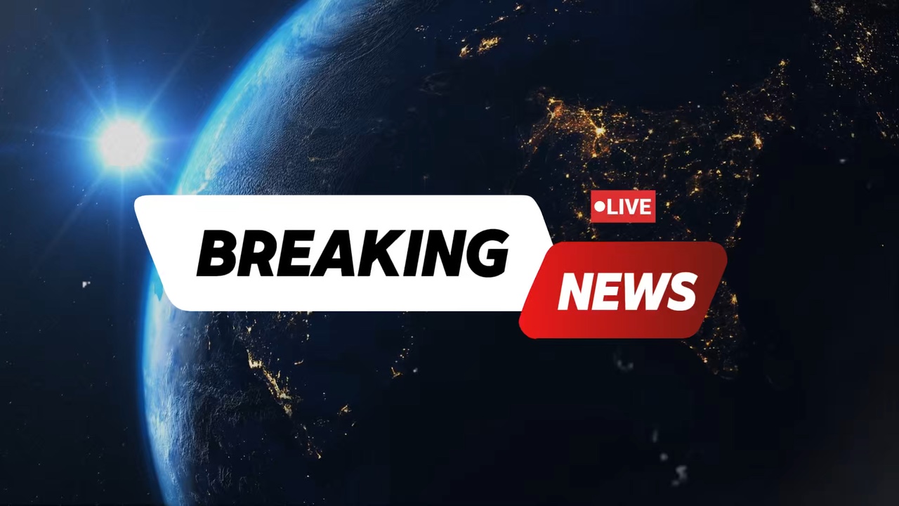 Old Intro Horizontal - Pippit