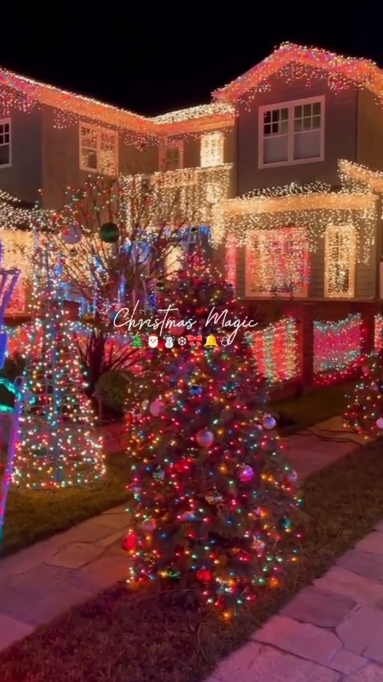 Magic Swap Christmas - Pippit