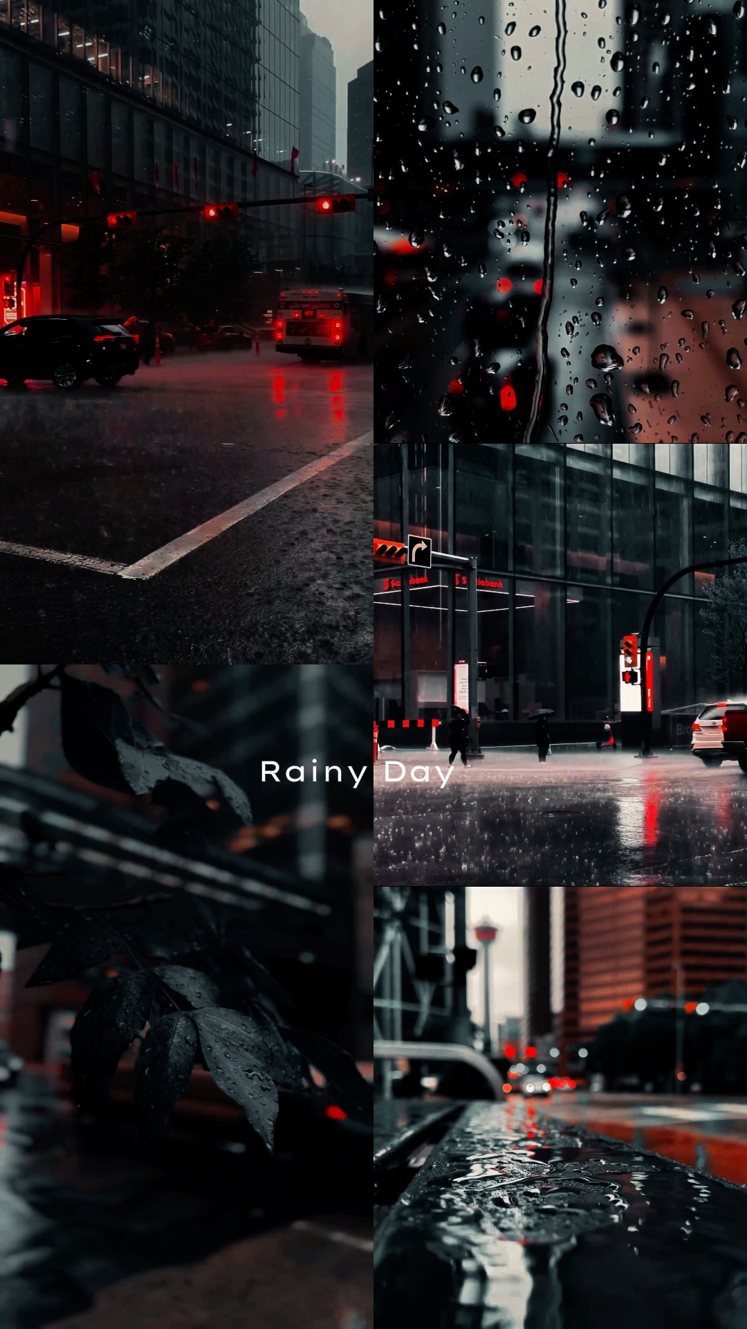 Trending Template 2025 in Rain - Pippit