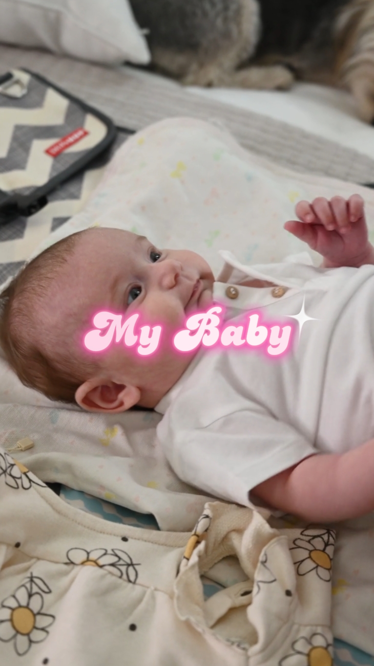 Baby 6 Months Clip Complete Templates - Pippit