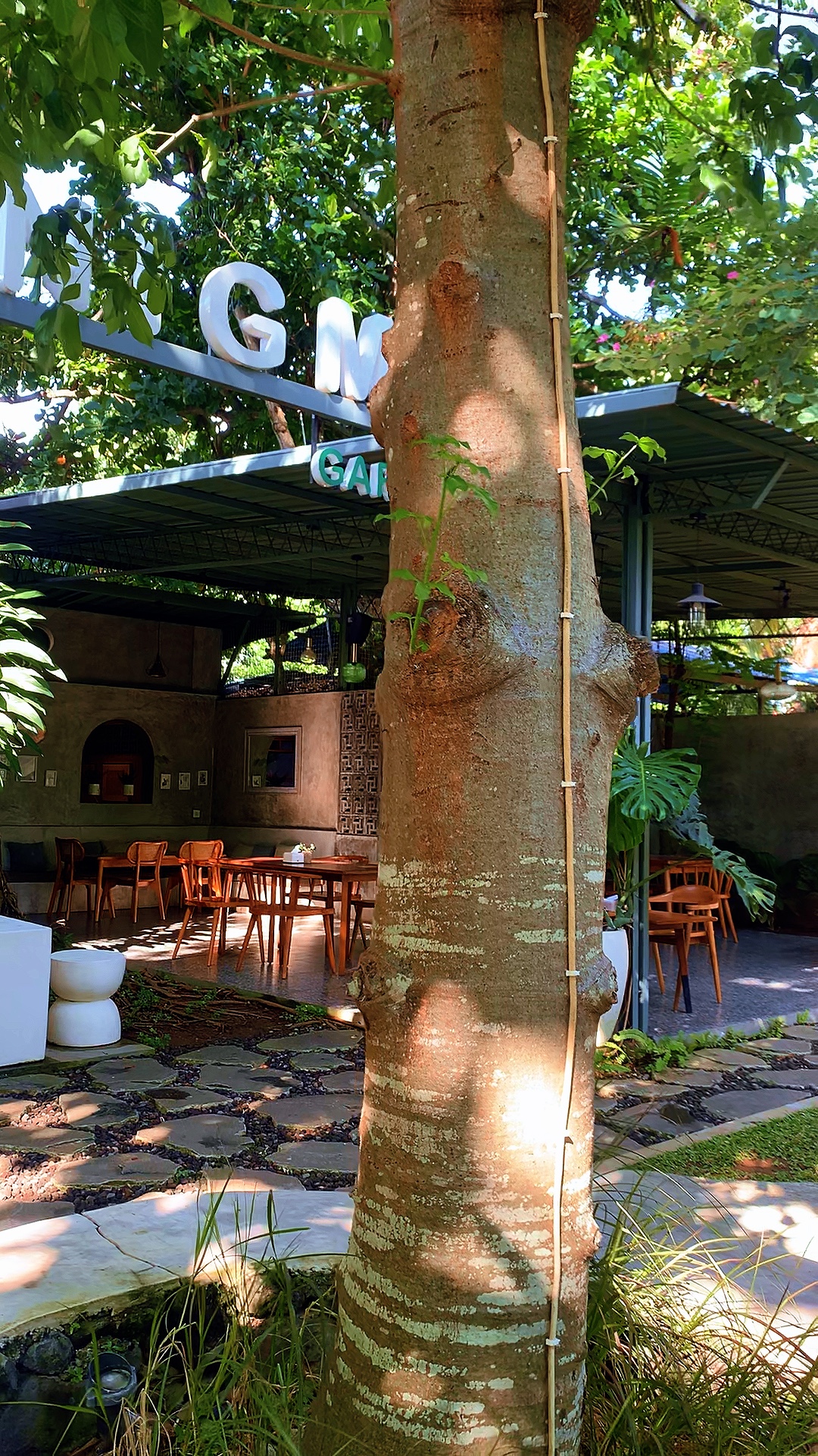 CapCut Velocity Template with Bounce - Pippit