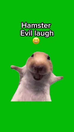 Hamster Meme: Discover Top Funny Hamster Memes Online